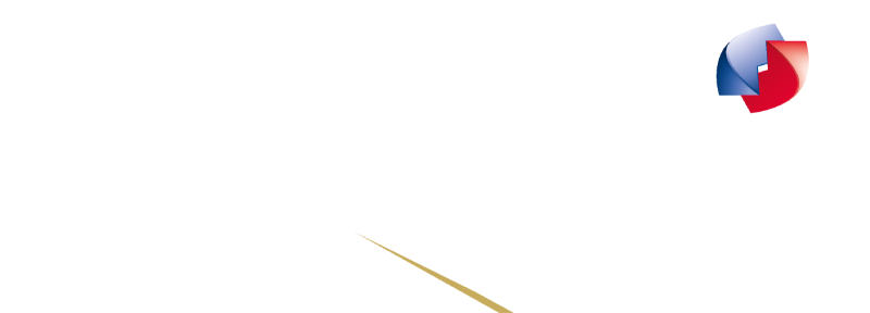 ELF SIM RACING SERIES BY THE GRID